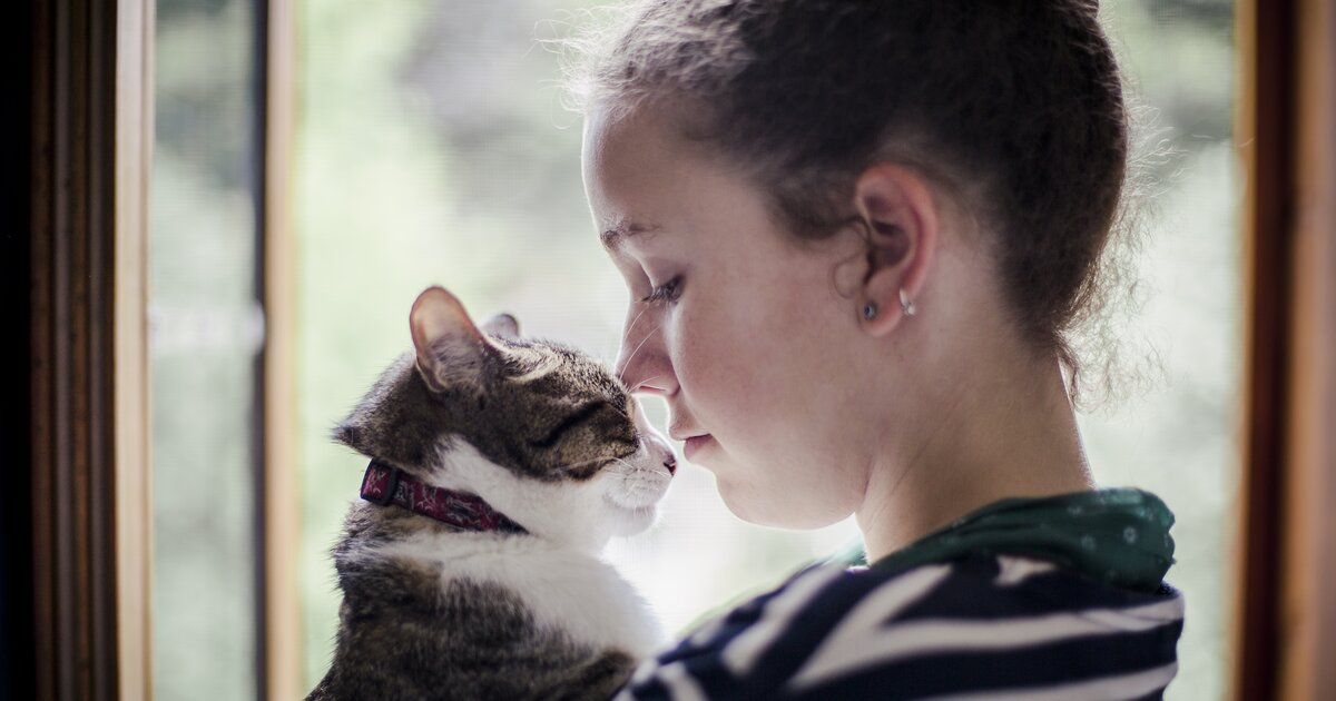 Katzen spüren gute Menschen: 10 Anzeichen für echte Liebe