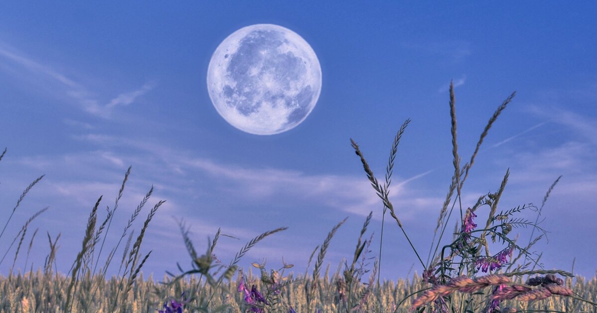 Bokep jilbap terbaru look after yourself and I will be