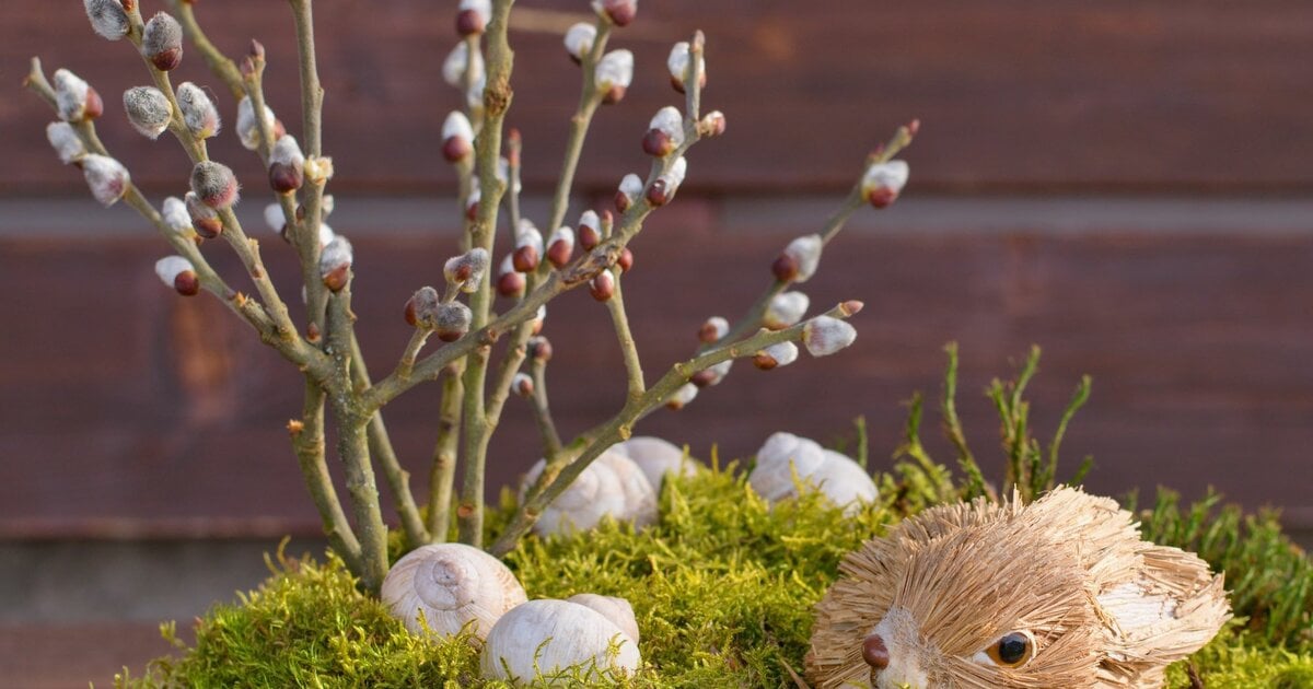 Mit Moos gebastelt: Diese DiY-Dekoideen sind einfach zu gut!