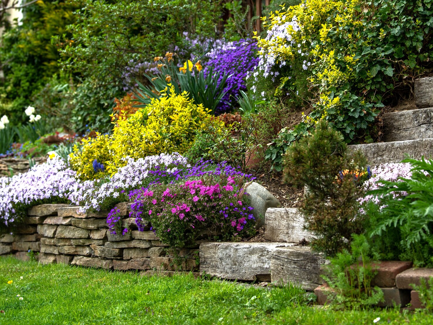Pflanzen für Hangbeete: 5 pflegeleichte Stauden