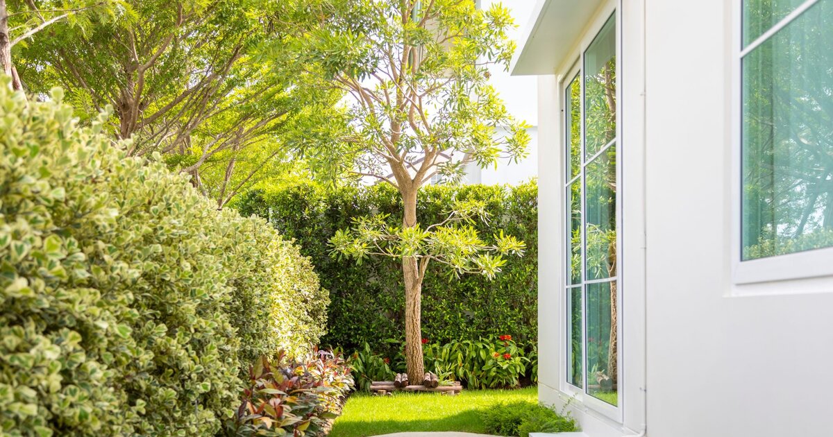 :mami donggeuran following a fast hug we talked as we took