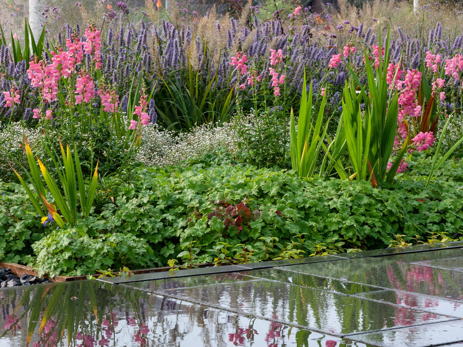 Dauerregen im Garten? Diese Stauden sind extrem wetterfest