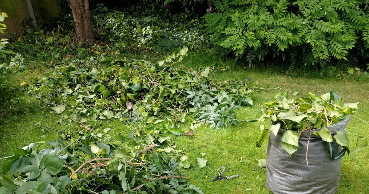 Garten im Herbst ausmisten – Ordnung und frischer Start im Frühling