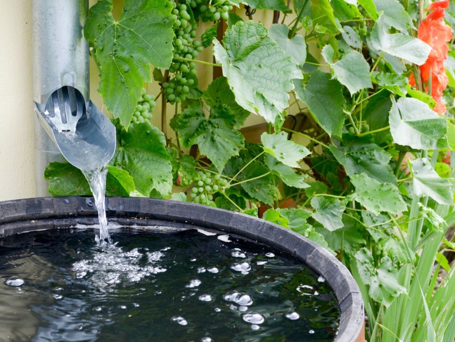 Regentonne: Darum solltest du im Winter Styropor in das Wasser legen